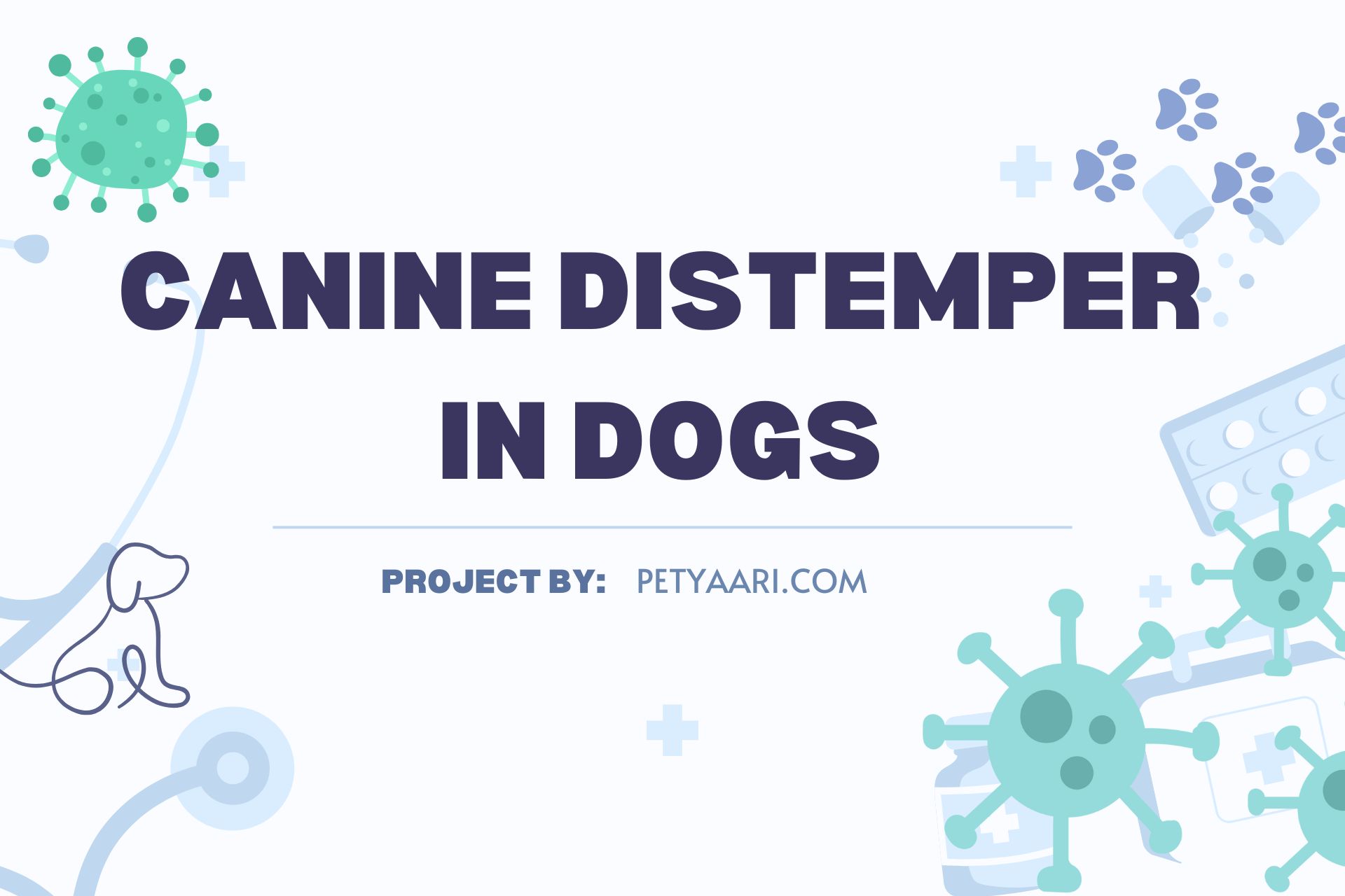 Canine Distemper In Dogs: Symptoms, Treatment, Vaccine & Home Care